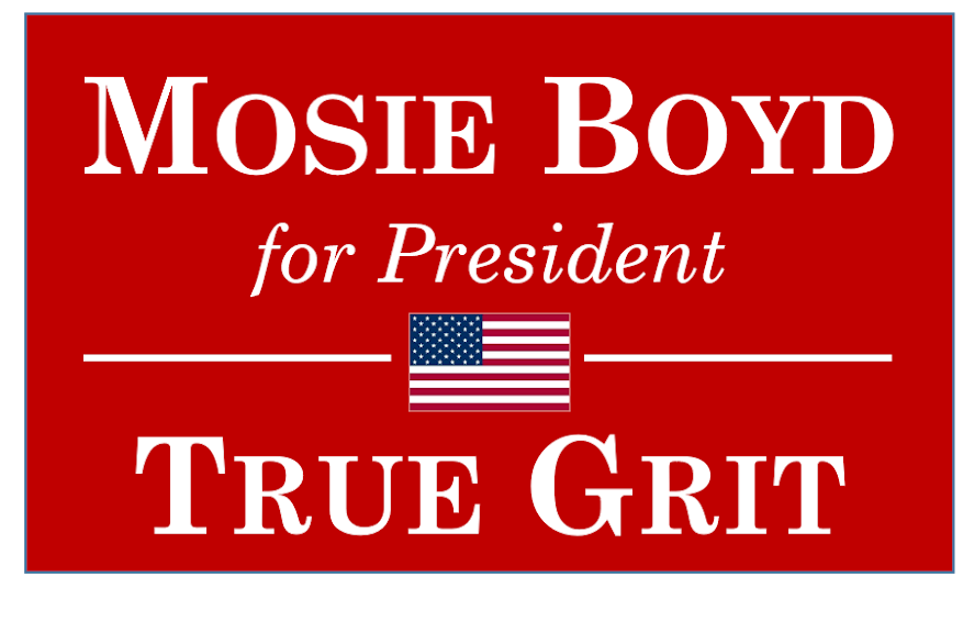 Mosie Boyd - Media and American Politics