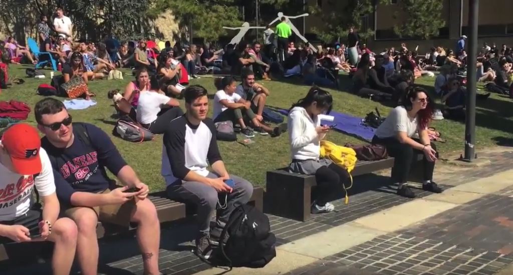 Owls Flock to Beury Beach - Temple Update